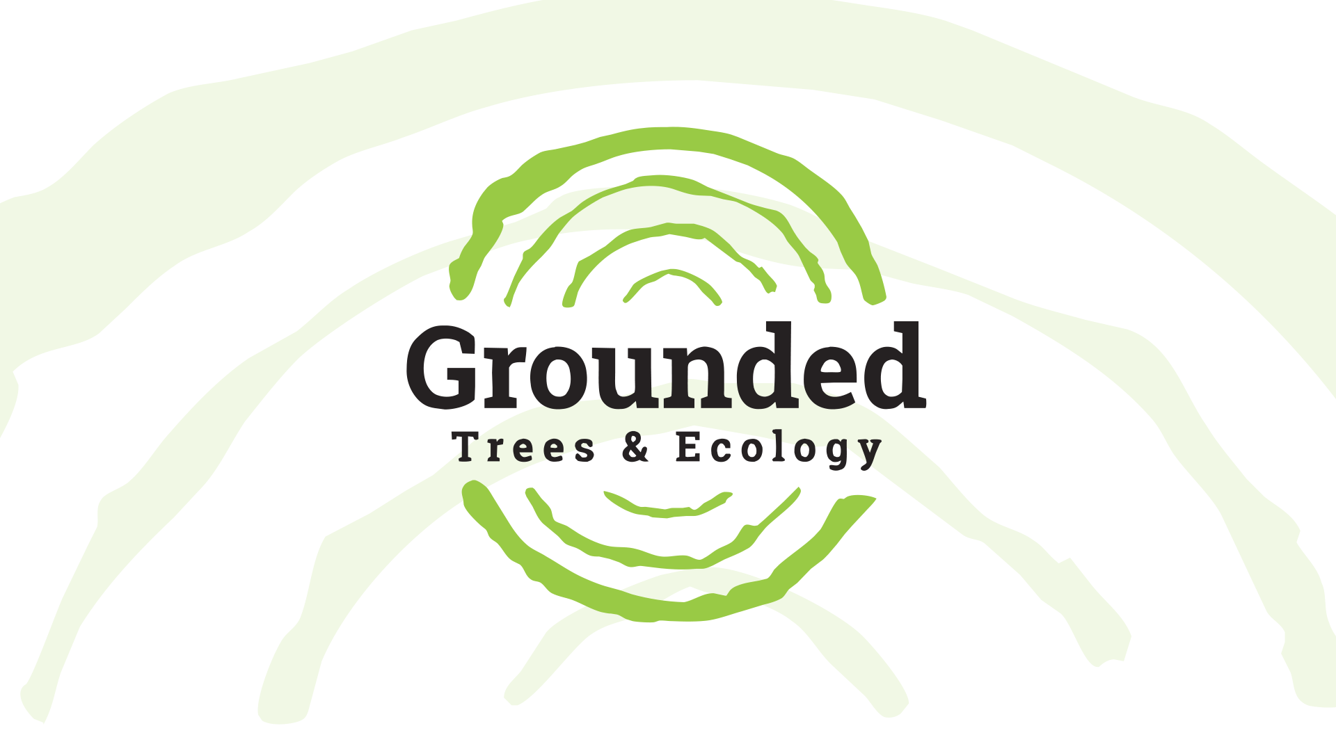 Bat Care | Found a Sick or Injured Bat? We can help | Grounded Trees ...